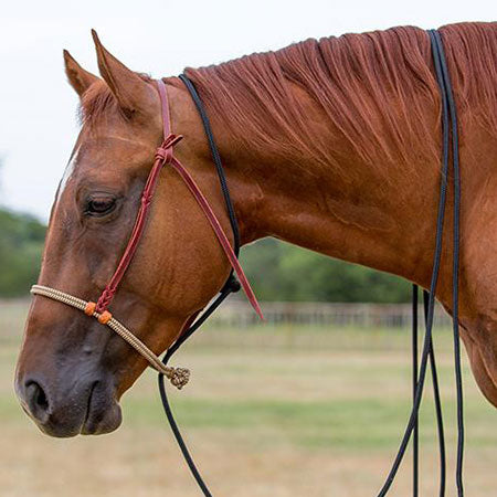 Get Down Rope – Chris Cox Horsemanship